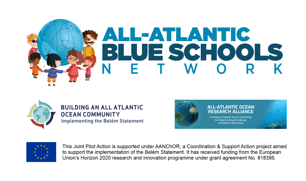 Blue Schools Ireland; Bringing the Ocean into your classroom – Irish ...